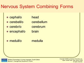 Lecture-5-Nervous system (3).pdf