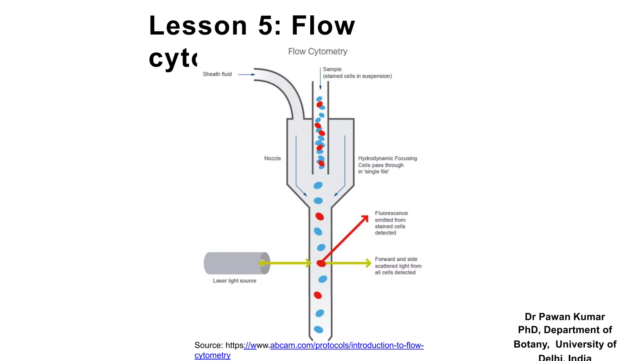 Flow cytometry-converted biology | PPT