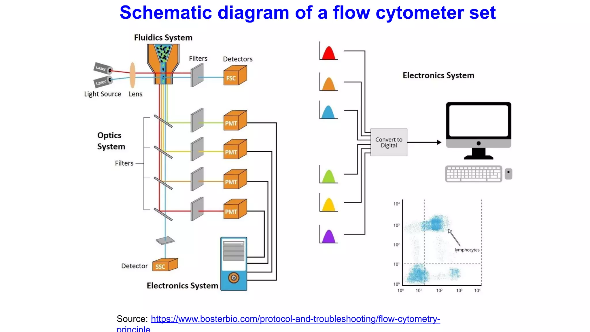 Flow cytometry-converted biology | PPT