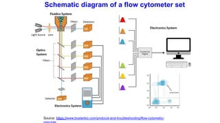 Flow cytometry-converted biology | PPT