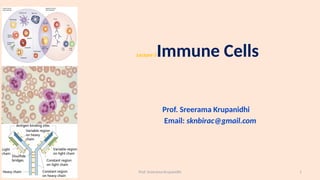Lecture-5 Classification, attributes and functions of immune cells | PPT