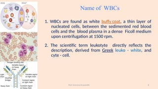 Lecture-5 Classification, attributes and functions of immune cells | PPT
