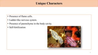 Lecture 5 platyhelminths presentations | PDF