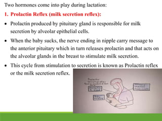 Lecture 6. Breast milk and breast feeding | PPTX