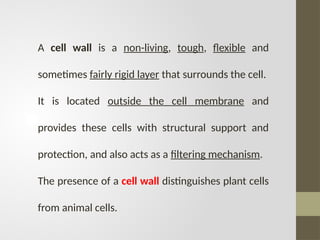Cell-wall-properties-and-its functions.pptx