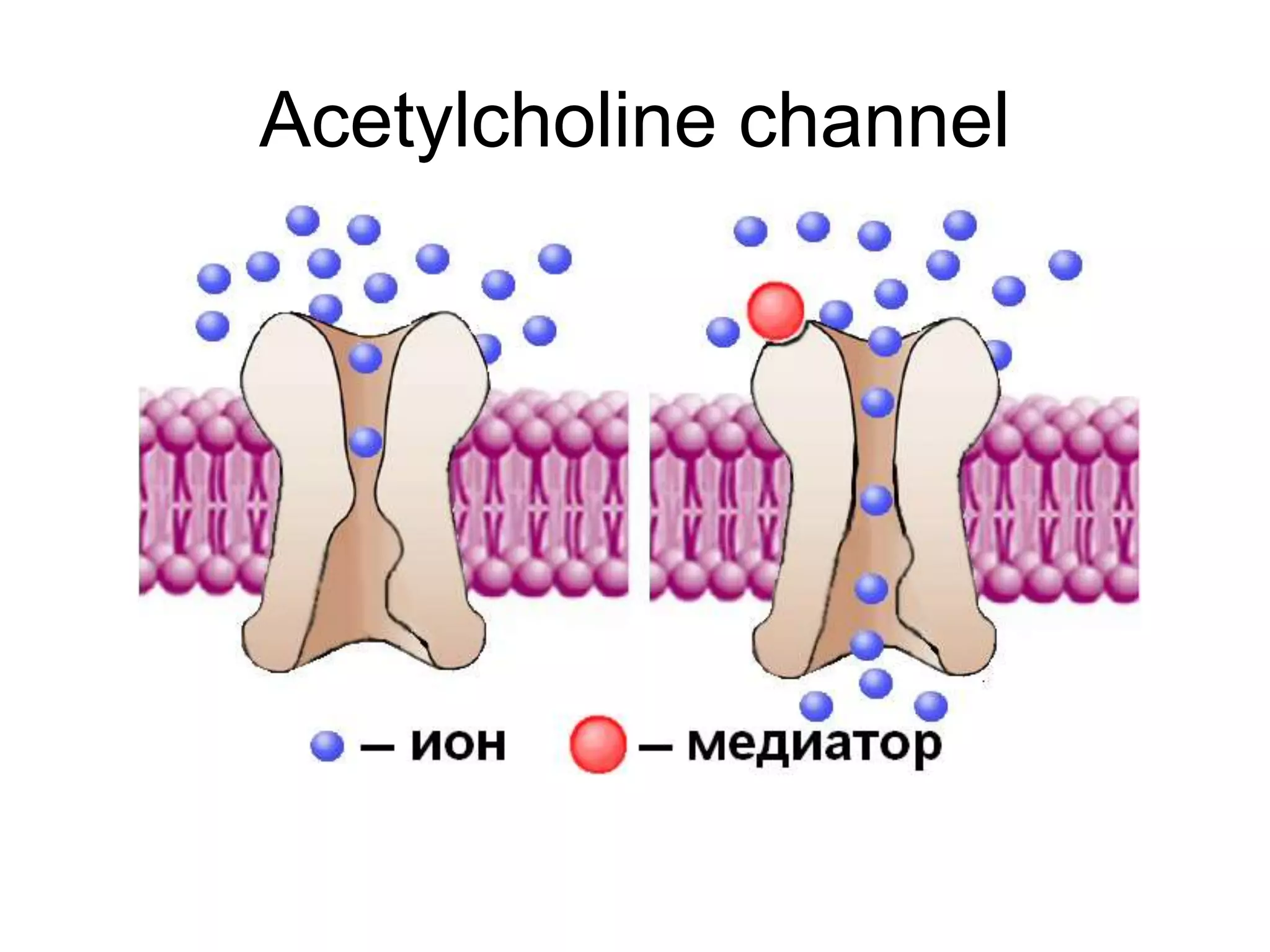 Lecture 6- contraction | PPT