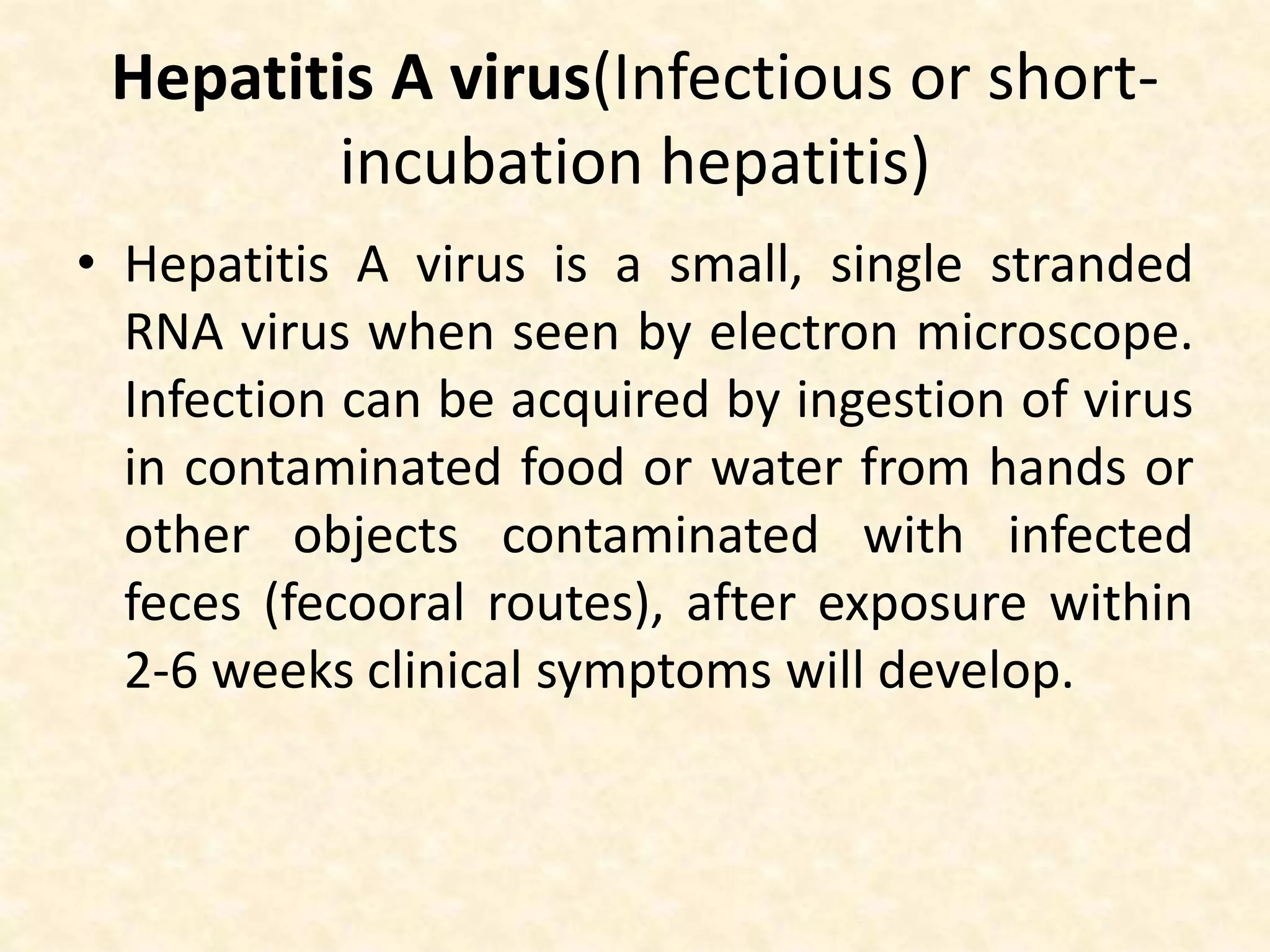 Lecture 6-hepatitis | PPTX