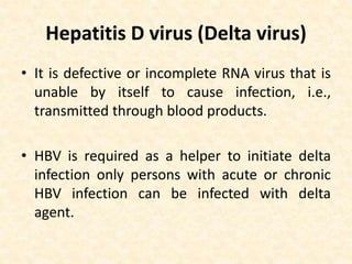 Lecture 6-hepatitis | PPTX