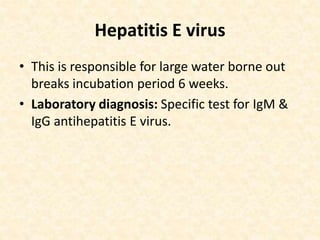 Lecture 6-hepatitis | PPTX