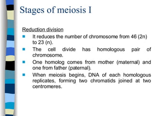 Lecture 6 Cell Division [Meiosis] | PPT