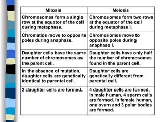 Lecture 6 Cell Division [Meiosis] | PPT