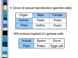 Lecture 6 Cell Division [Meiosis] | PPT