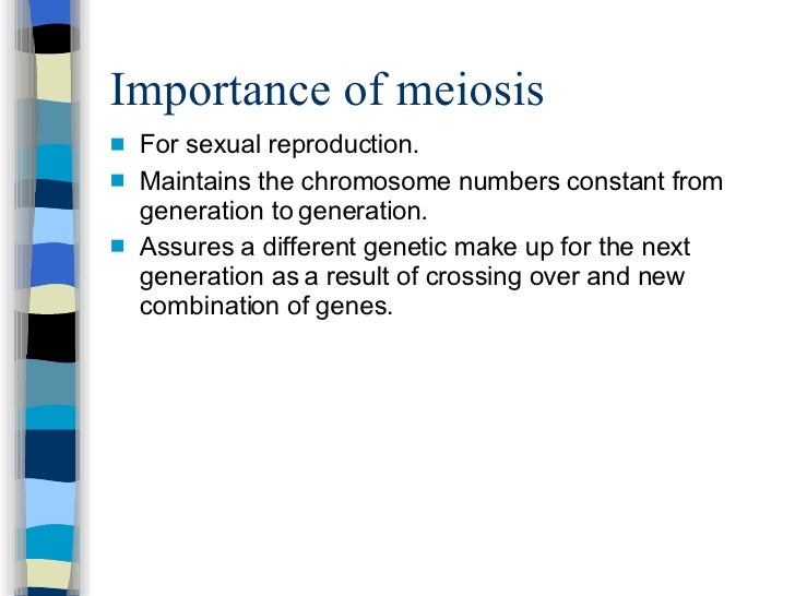 Lecture 6 Cell Division [Meiosis]