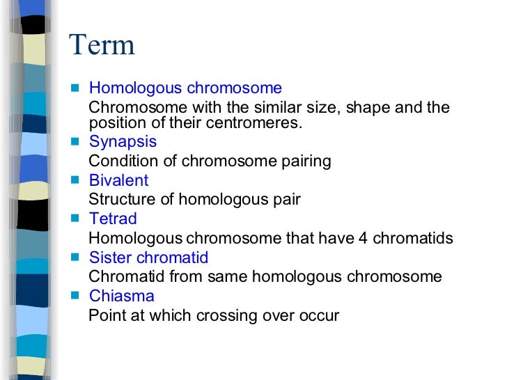 Lecture 6 Cell Division [Meiosis]