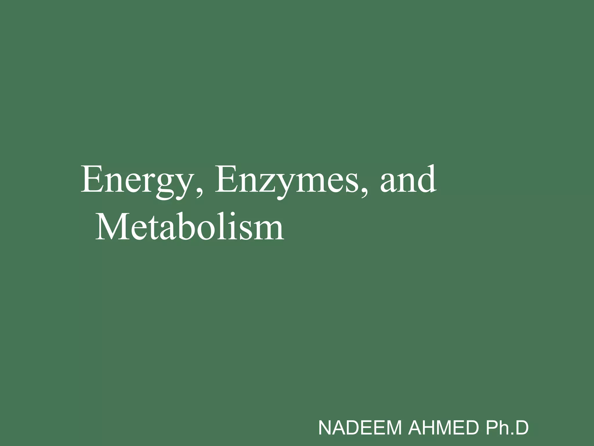 Lecture-6 Energy, Enzymes, and Metabolism.ppt