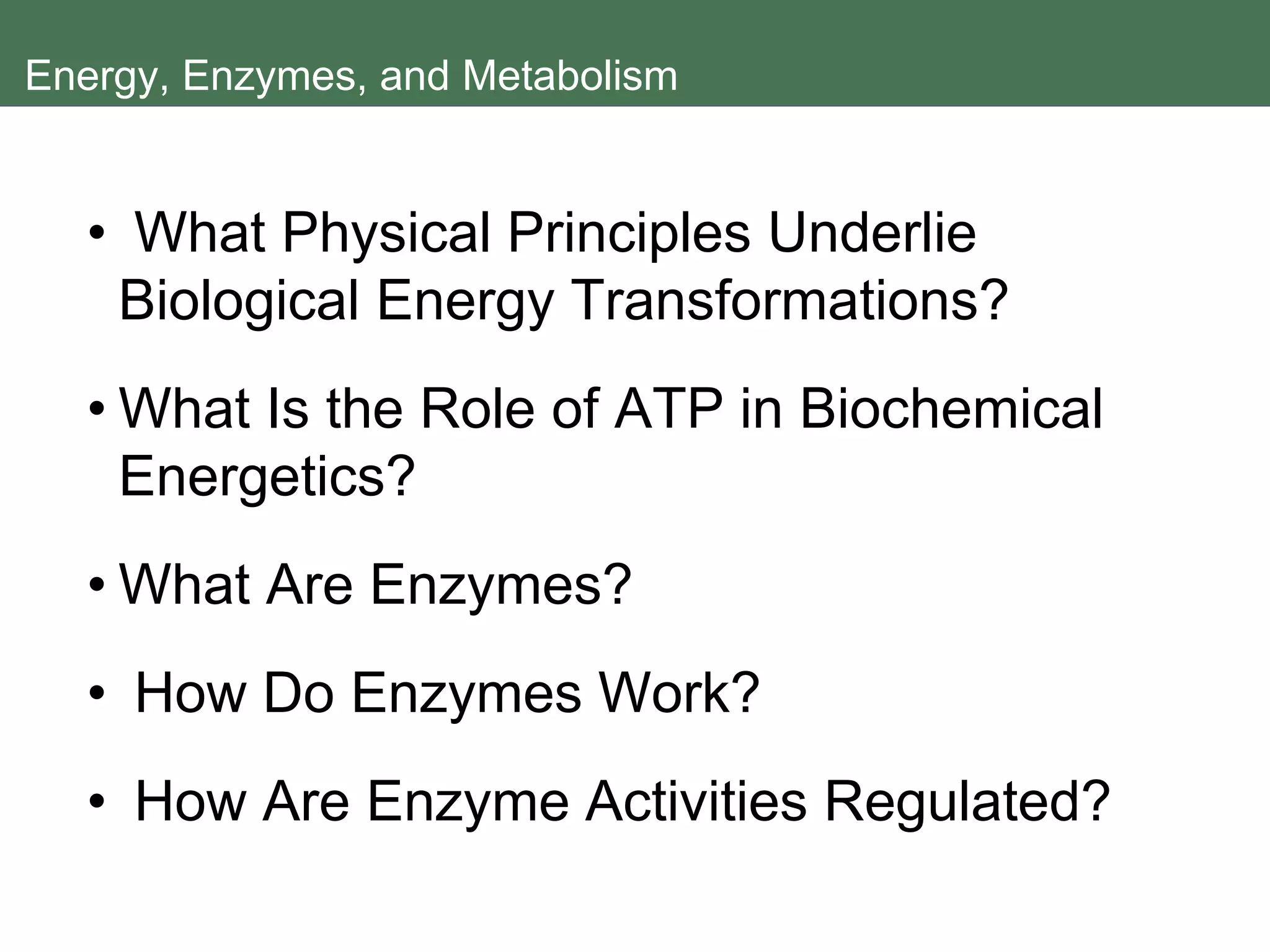 Lecture-6 Energy, Enzymes, and Metabolism.ppt | Chemistry | Science