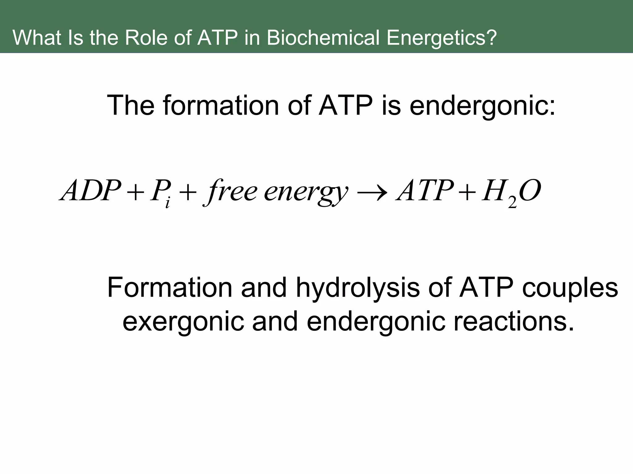 Lecture-6 Energy, Enzymes, and Metabolism.ppt | Chemistry | Science