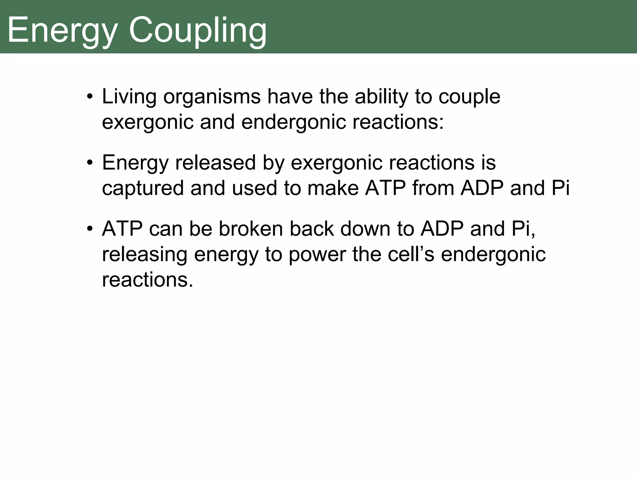Lecture-6 Energy, Enzymes, and Metabolism.ppt | Chemistry | Science