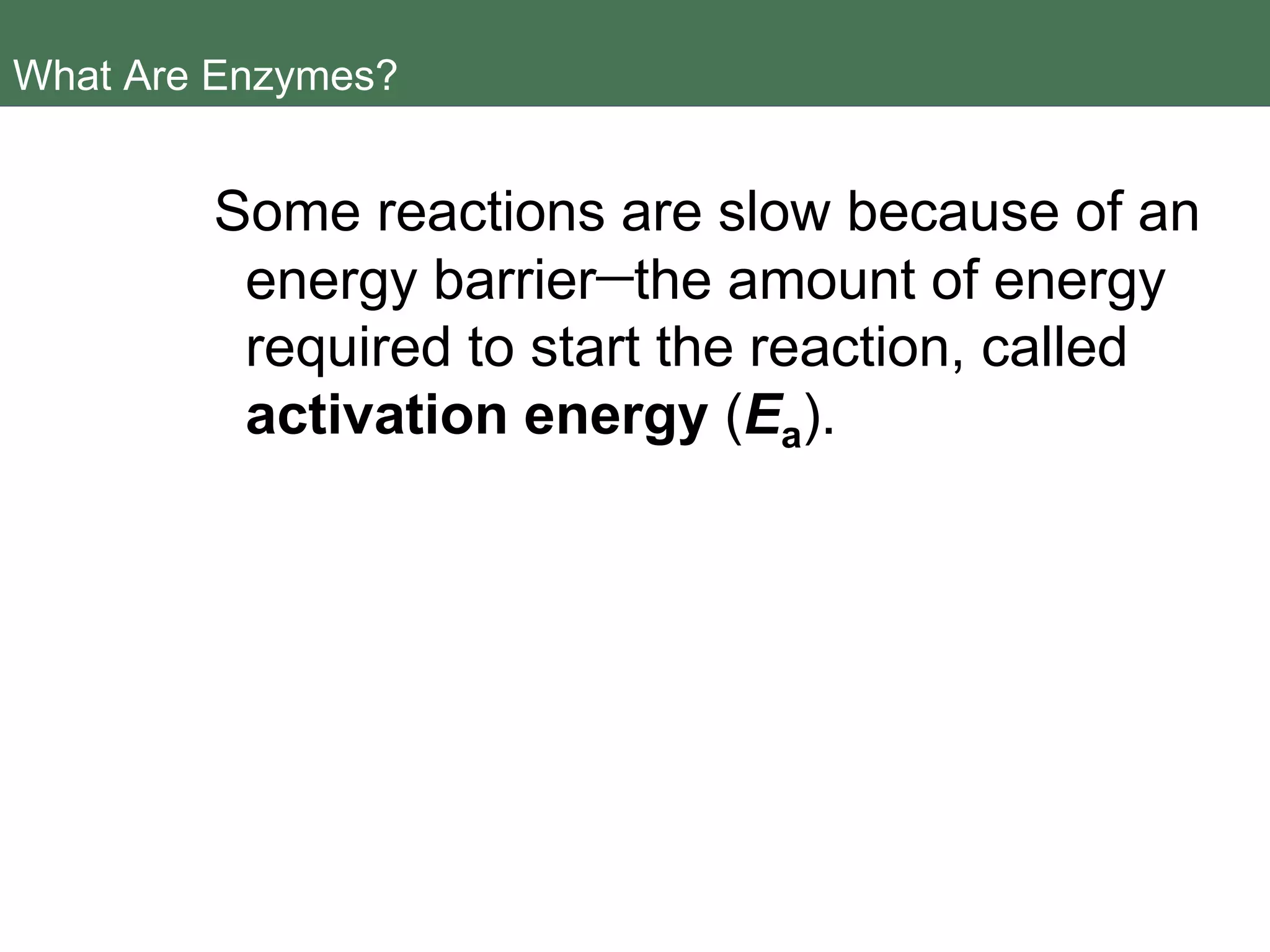 Lecture-6 Energy, Enzymes, and Metabolism.ppt