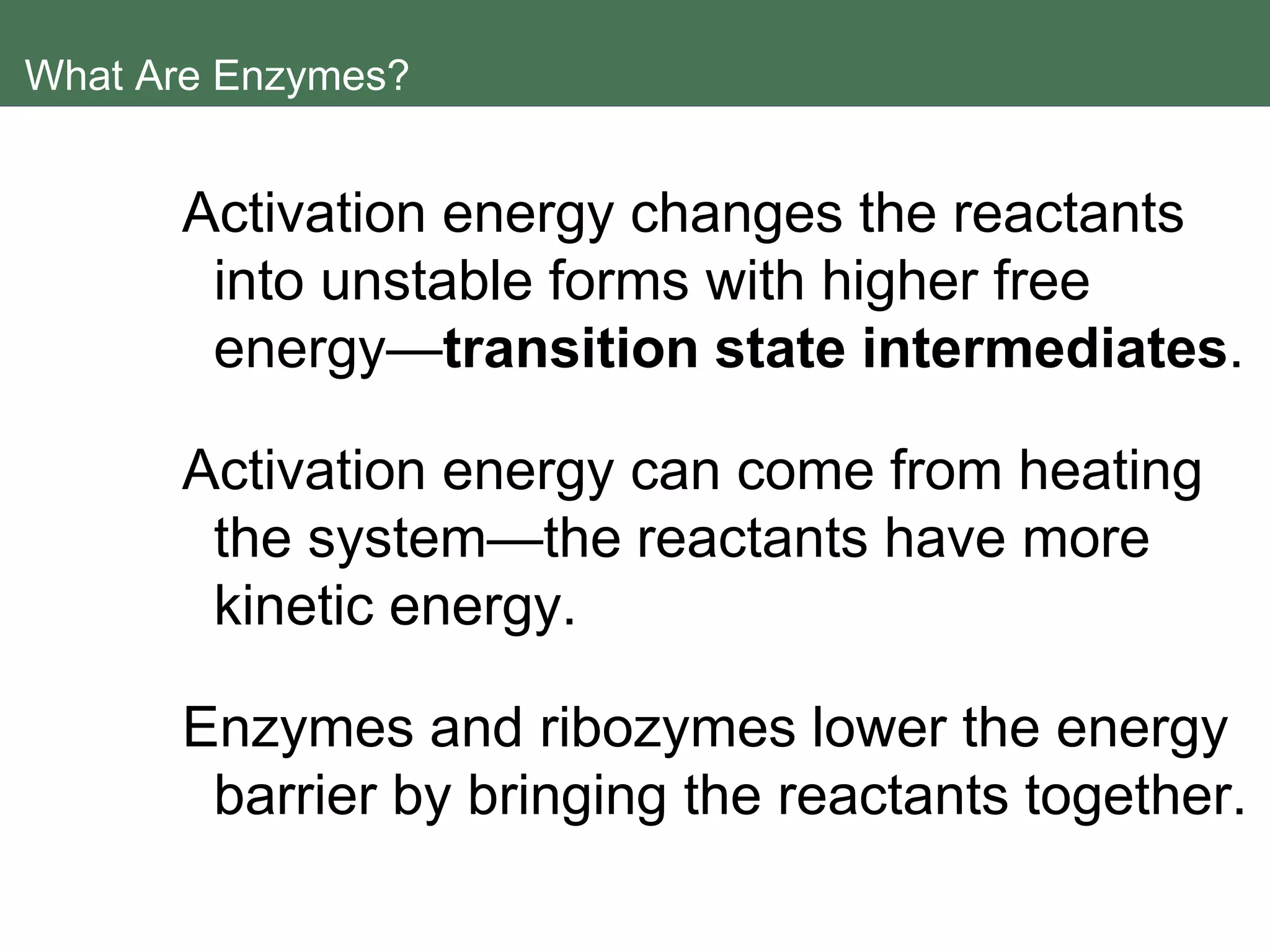 Lecture-6 Energy, Enzymes, and Metabolism.ppt | Chemistry | Science