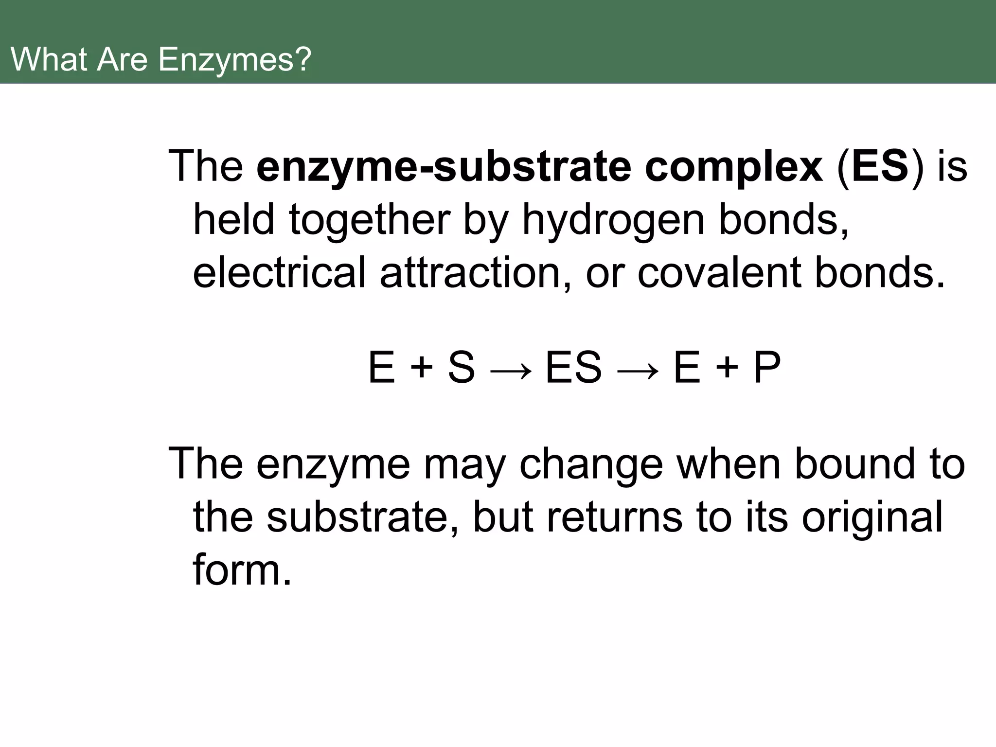 Lecture-6 Energy, Enzymes, and Metabolism.ppt | Chemistry | Science