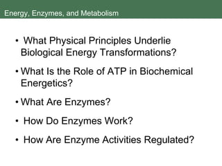 Lecture-6 Energy, Enzymes, and Metabolism.ppt