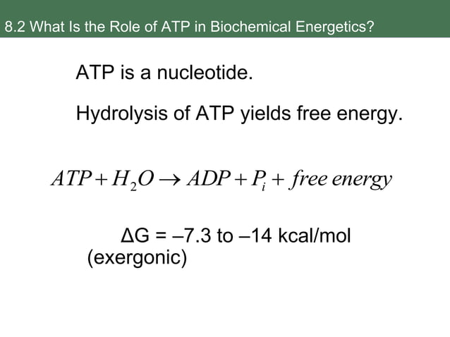 Lecture-6 Energy, Enzymes, and Metabolism.ppt | Chemistry | Science