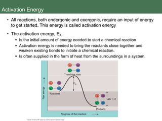 Lecture-6 Energy, Enzymes, and Metabolism.ppt