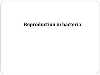 Lecture-6 Reproduction in bacteria.ppt