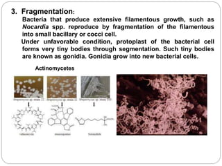 Lecture-6 Reproduction in bacteria.ppt