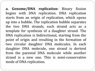 Lecture-6 Reproduction in bacteria.ppt