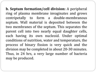 Lecture-6 Reproduction in bacteria.ppt