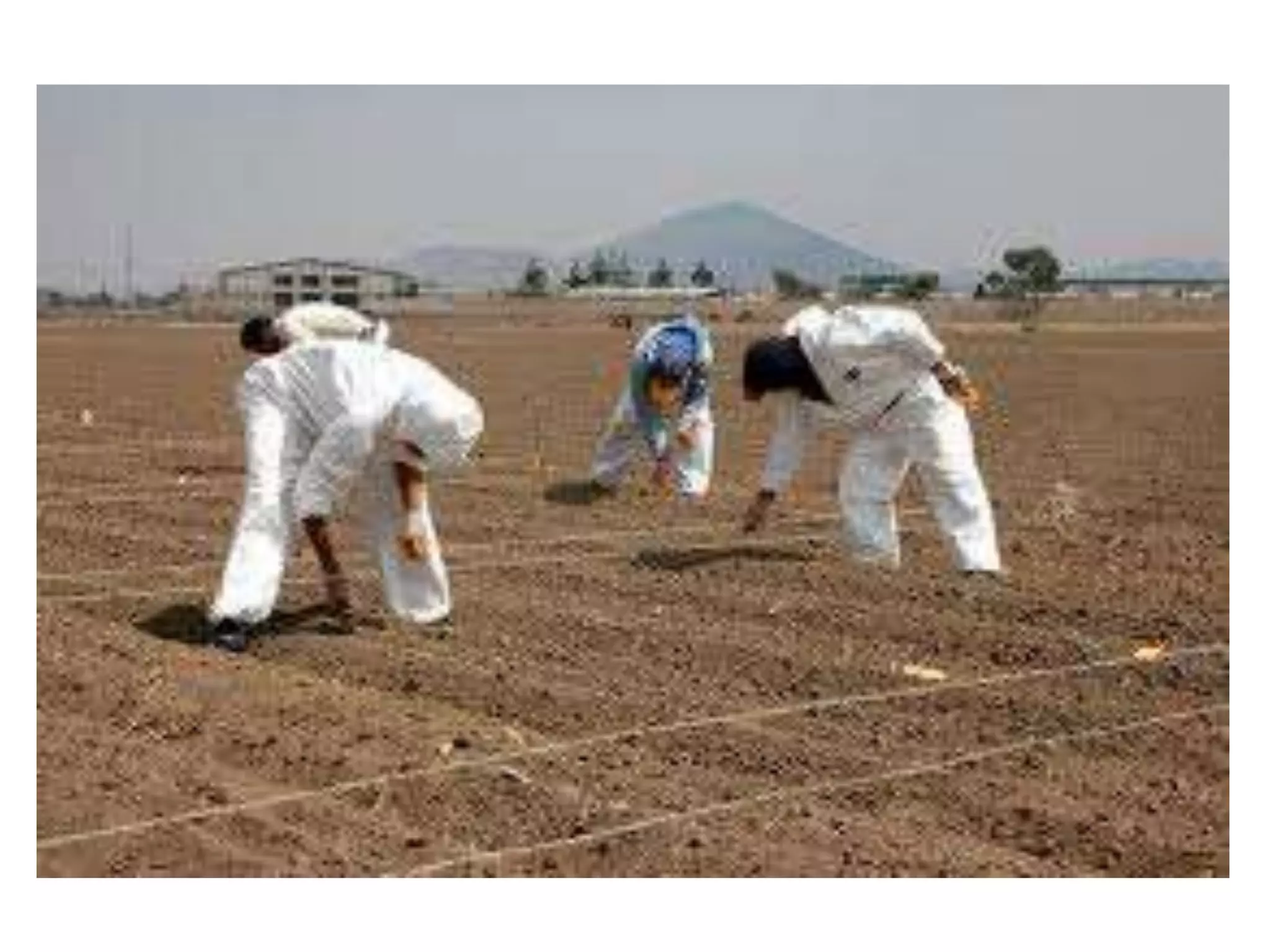 PRINCIPLES OF CROP PRODUCTION | PPT