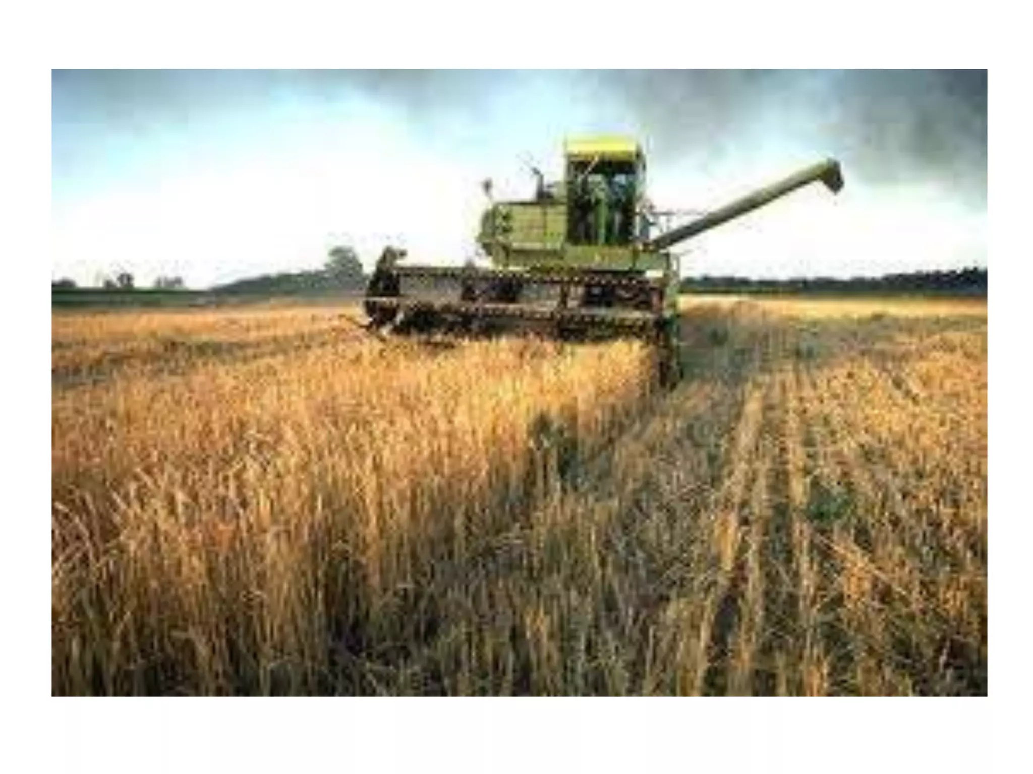 PRINCIPLES OF CROP PRODUCTION | PPT