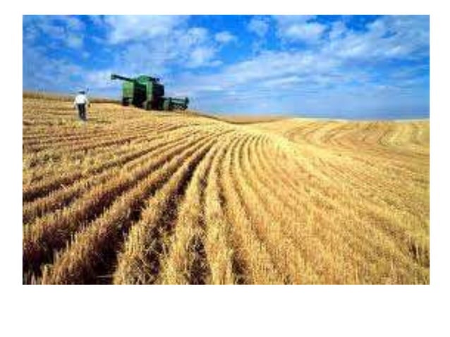 PRINCIPLES OF CROP PRODUCTION | PPT