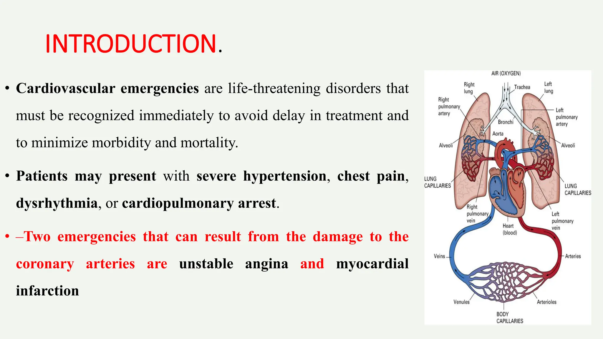 Lecture-7-Cardiovascular Emergencies(1).pdf