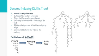 Lecture-7-Gene Duplication (1).pptx