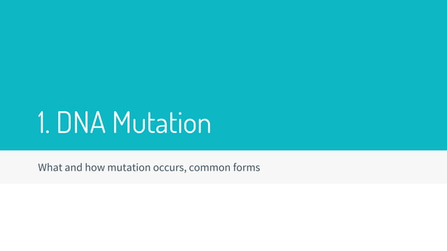 Lecture 7 Gene Duplication 1 Pptx