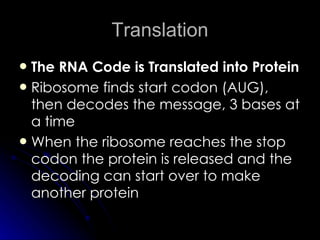Translation | PPT