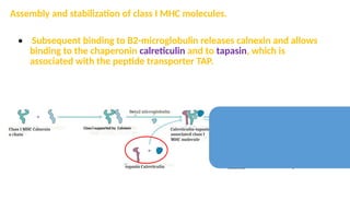 Lecture-7 Antigen process and presentation.pptx