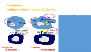 Lecture-7 Antigen process and presentation.pptx
