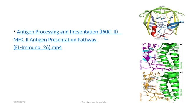 Lecture-7 Antigen process and presentation.pptx