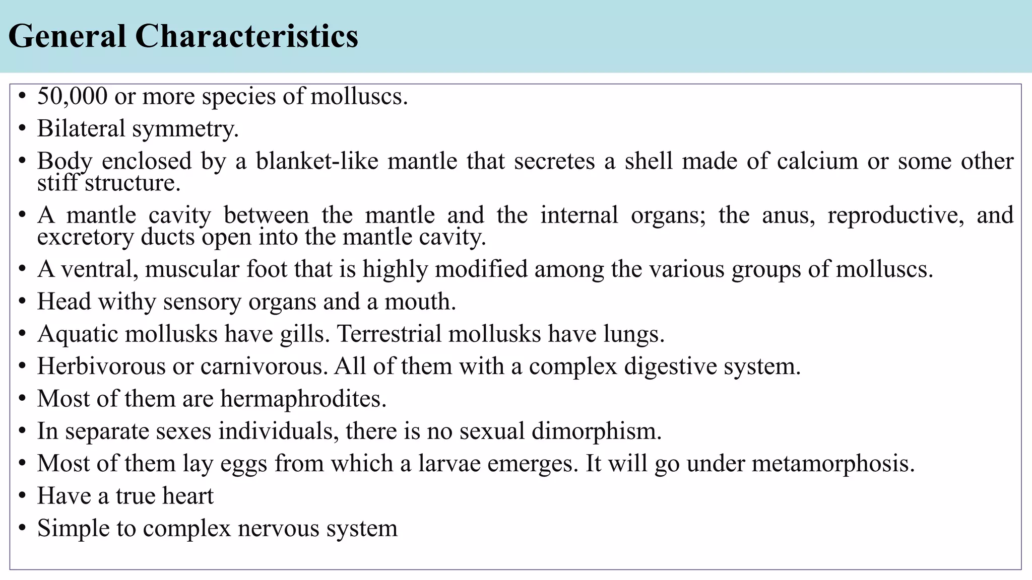 Lecture 7 ( phylum mollusca) ... ppt | PPTX