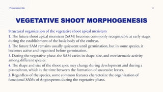 Lecture 8 in Developmental Biology of Plants | PDF