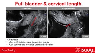 Lecture-8-Cervical-assessment.pdf