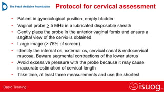 Lecture-8-Cervical-assessment.pdf