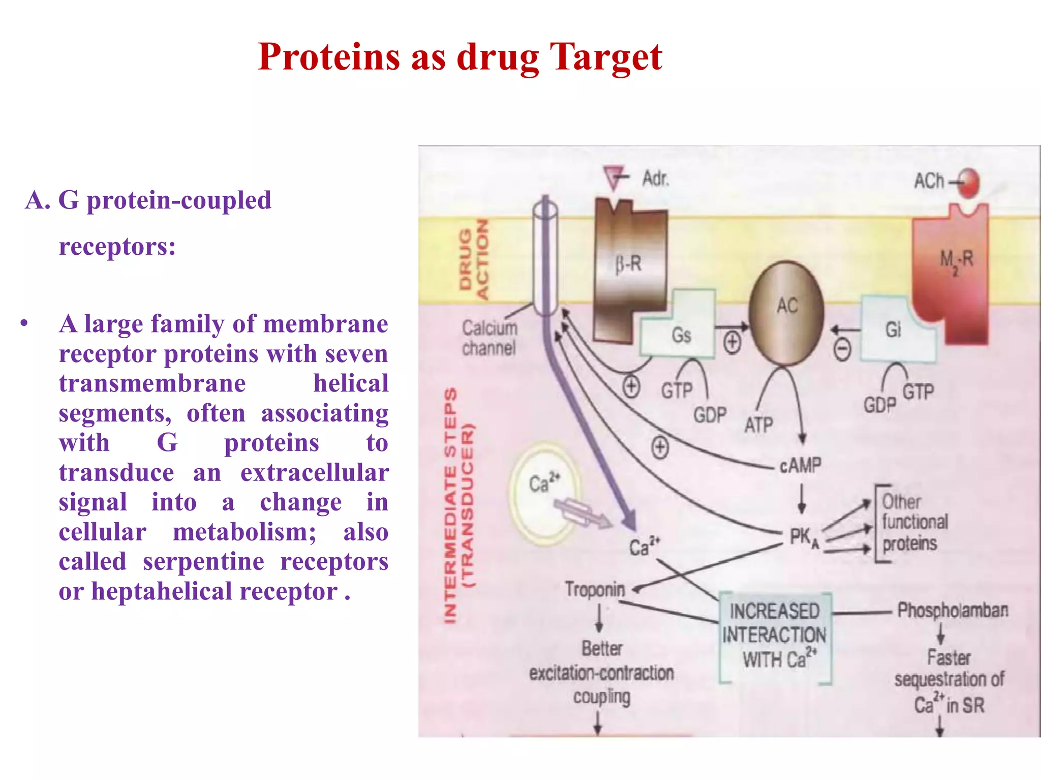 Lecture 8 drug targets and target identification | PDF