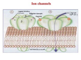 Lecture 8 drug targets and target identification | PDF