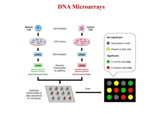 Lecture 8 drug targets and target identification | PDF