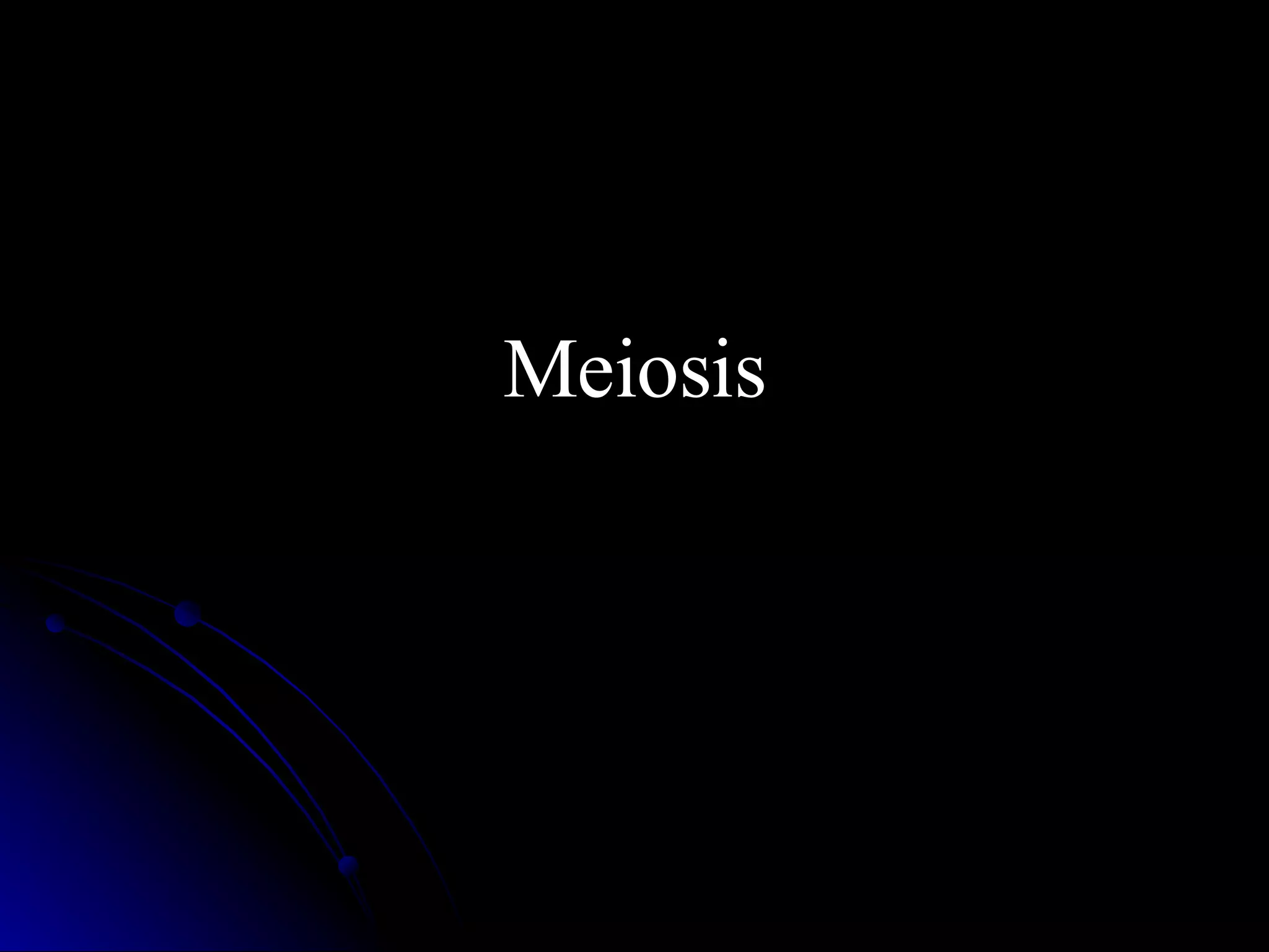 Meiosis | PPT